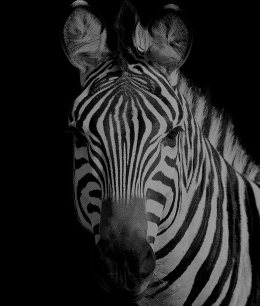 EDT | evidence and case management for the justice sector