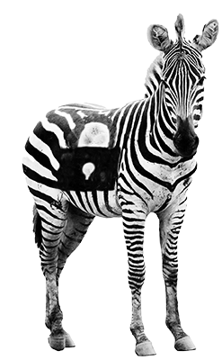 Security and Compliance | EDT