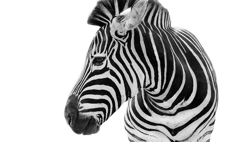 EDT | evidence management for regulators and justice agencies